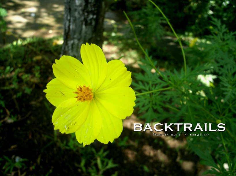 Back Trails: Rest Day at Bluroze Farms Parks and Wildlife in Lipa City ...