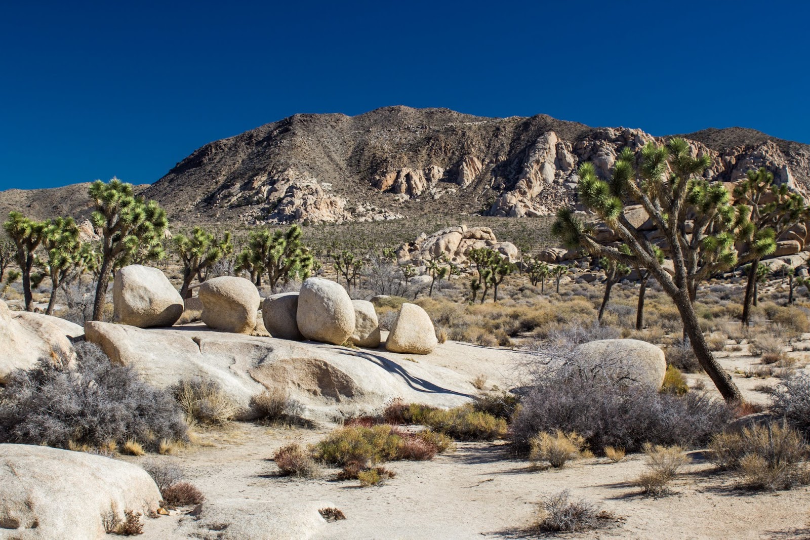 Climbing and Bouldering Mecca at Joshua Tree National Park - Explore ...