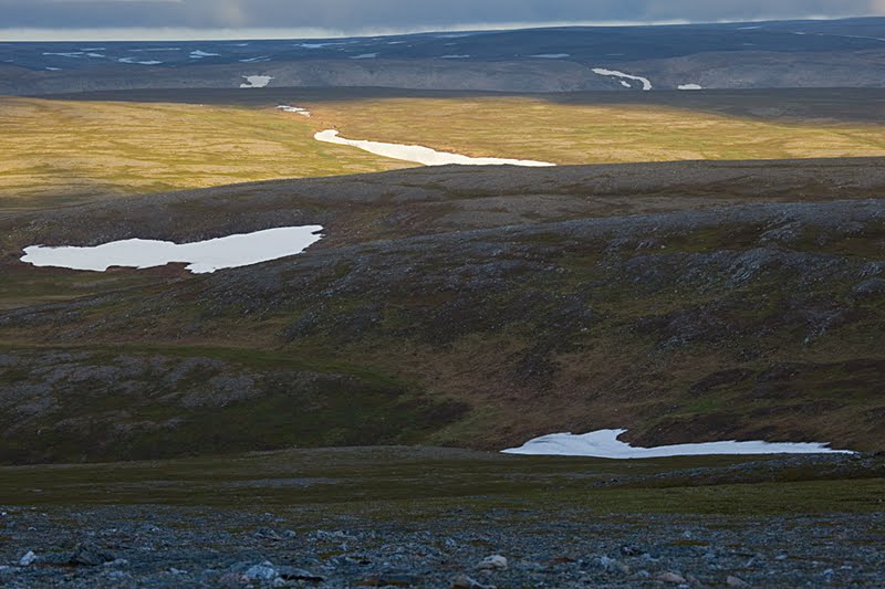 Norweski Notes: Varanger - ptaki, skały i Morze Barentsa