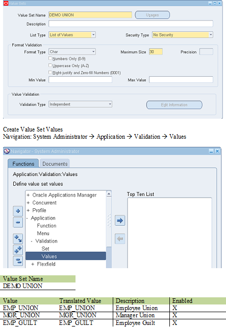 Oracle Applications Oracle Apps Core Hrms Functional Setups