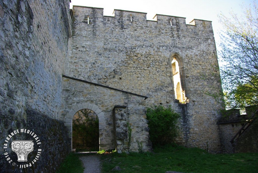 LA FRANCE MEDIEVALE: SAINT-QUENTIN-FALLAVIER (38) - Le château de Fallavier