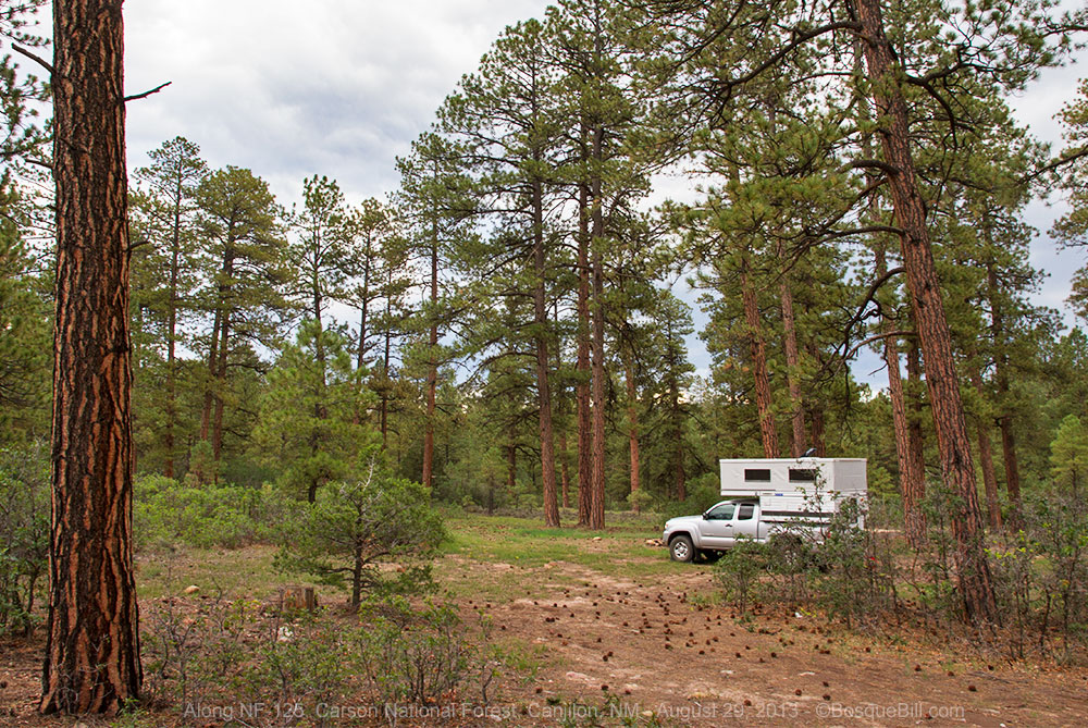 Bosque Bill's Backroads: Northern New Mexico, featuring Carson National ...