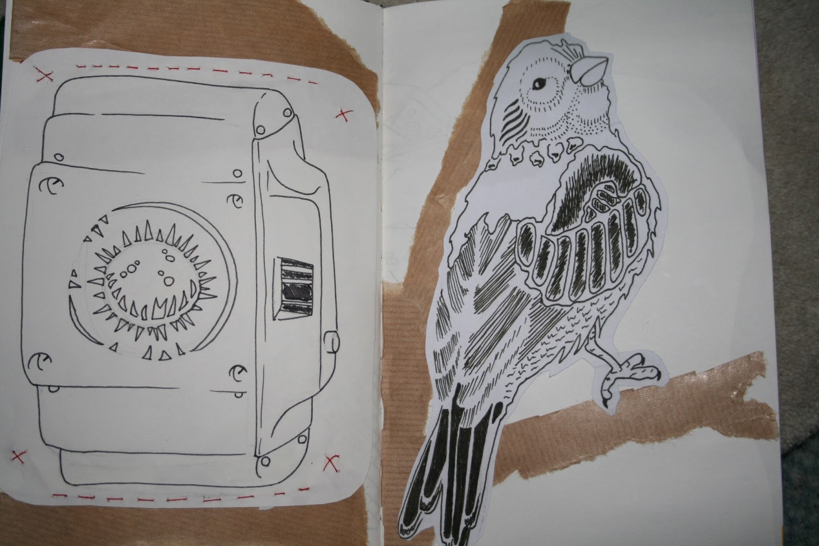 Alexandra Johnson: Bird and Camera - Observational Drawing