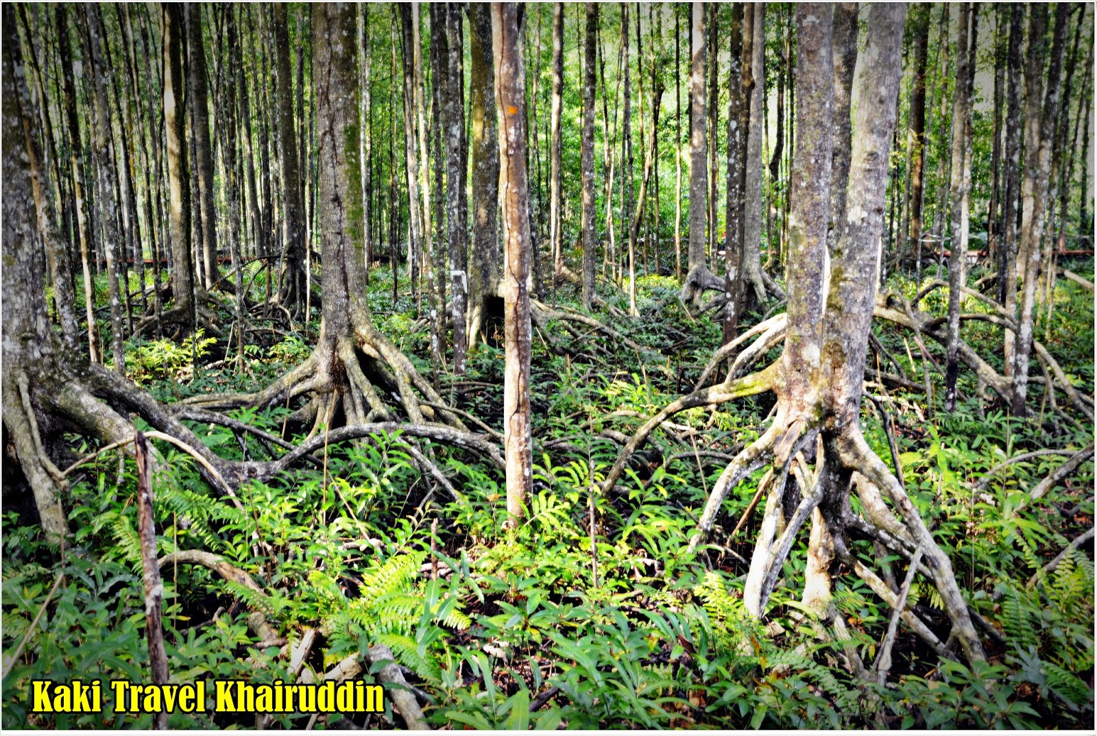 Kaki Travel: From Malaysia to the World with Khairuddin: With love from ...