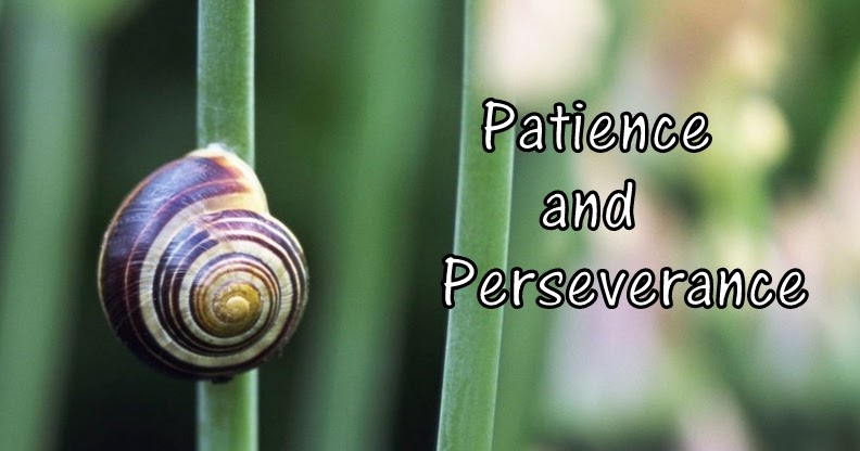 Christ in the Clouds: Patience and Perseverance