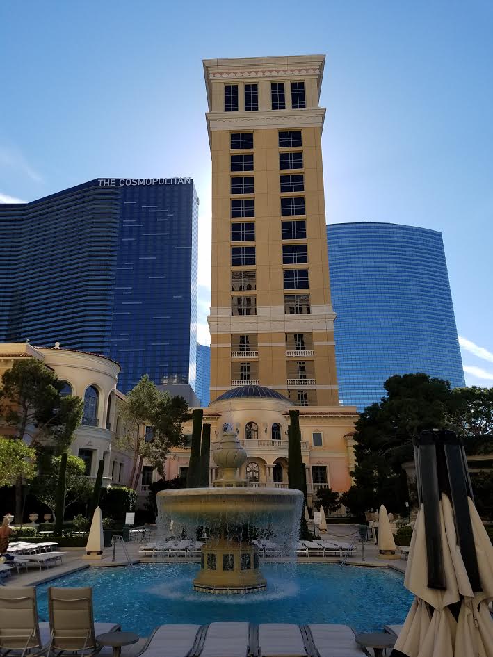 Adventures in Weseland: A Walk Around the Bellagio Pool