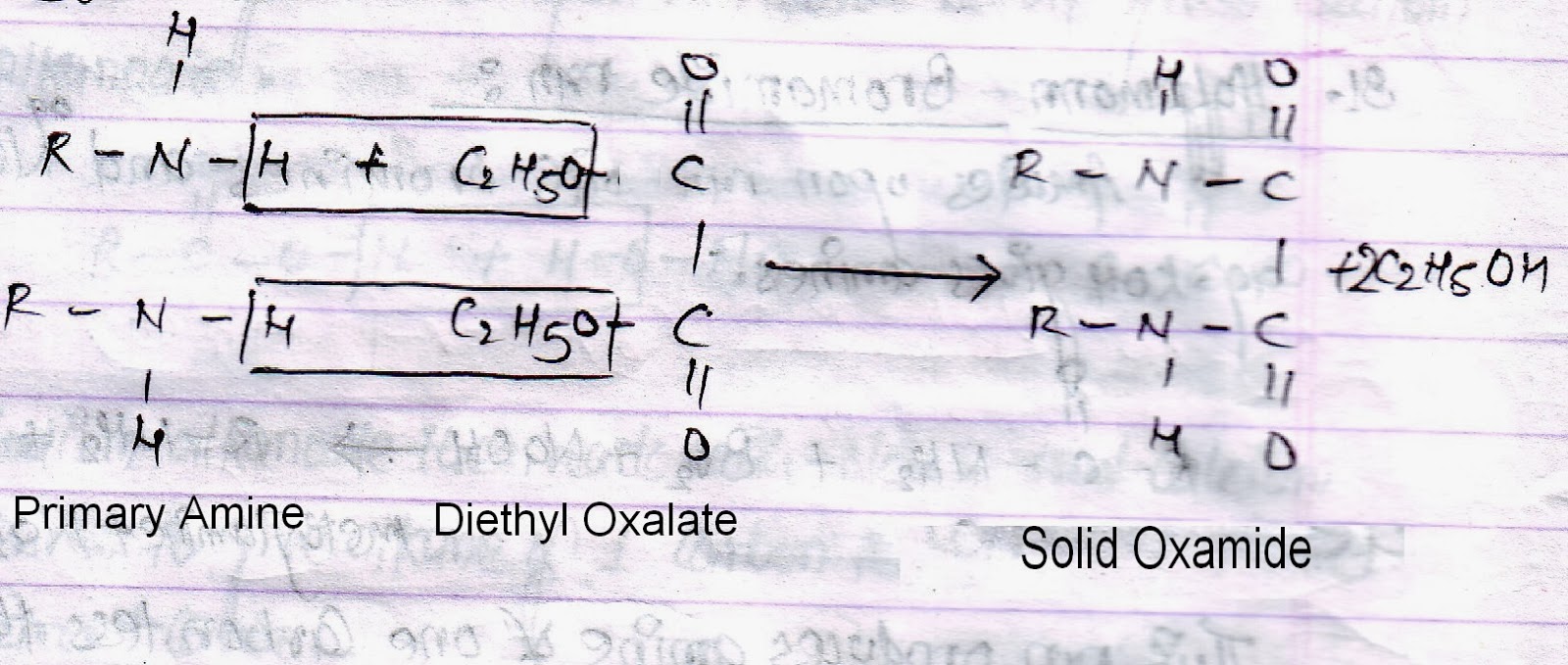 Hoffmann's method for the separation of amines