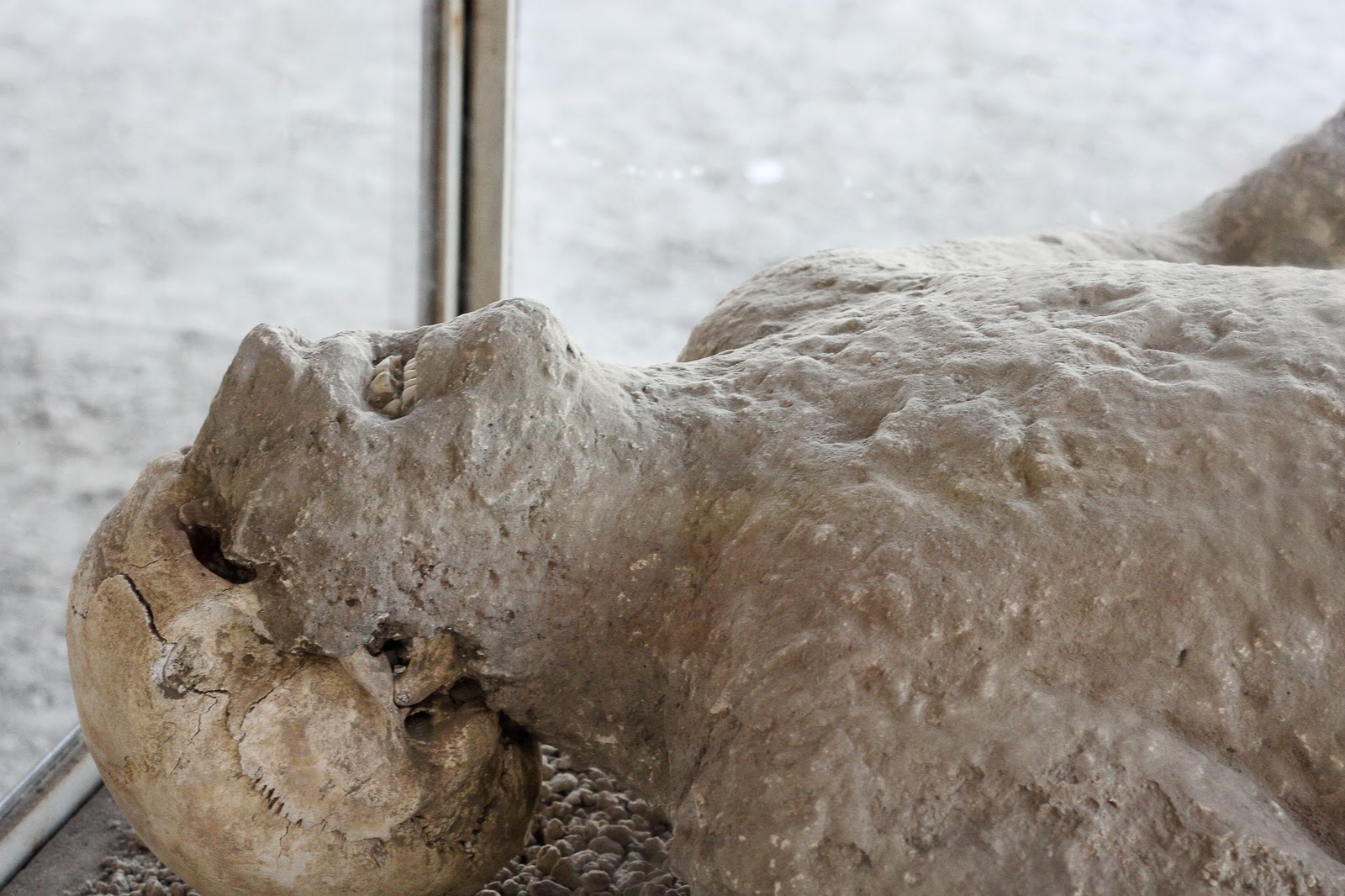 Italia 2011: Mount Vesuvius and Pompeii