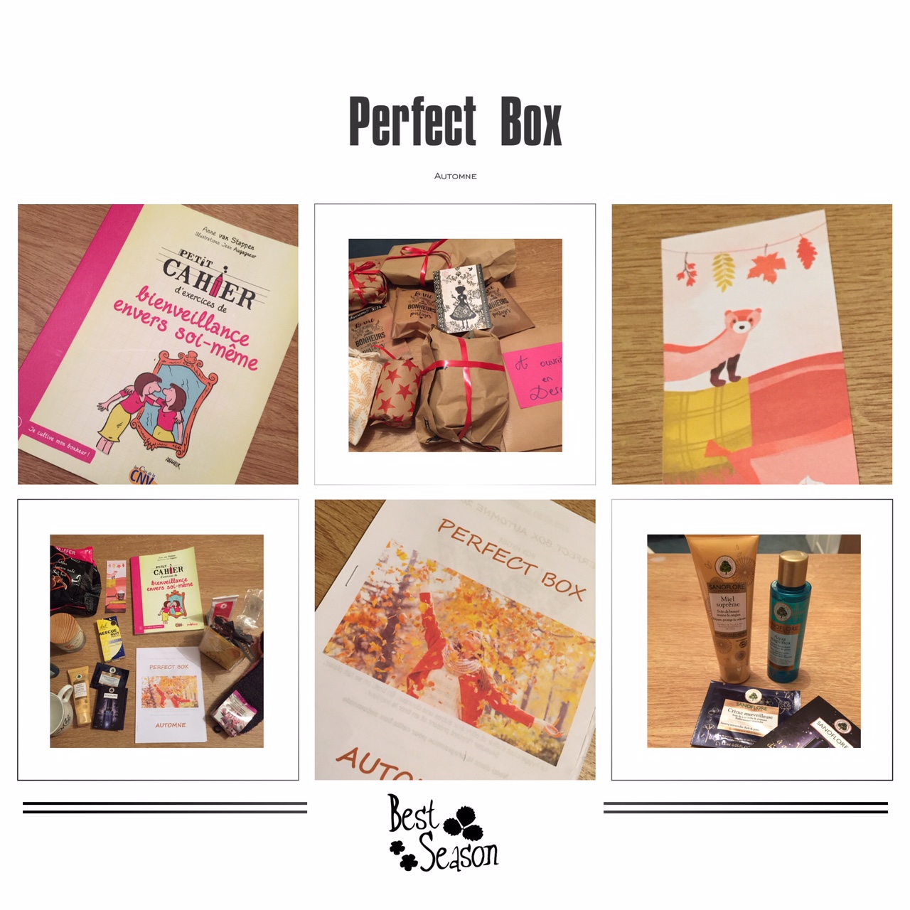 Swaps Addict le blog : SWAP Perfect box : une box automnale #1