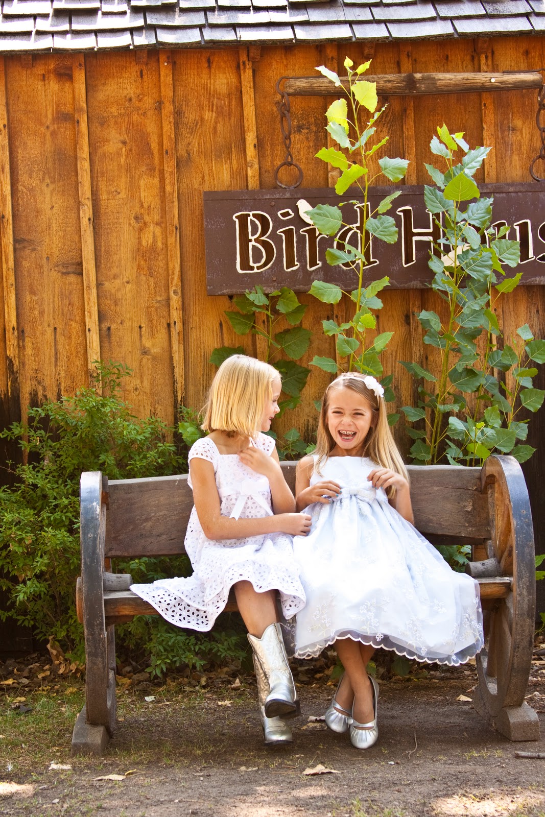 Simmonds Photography