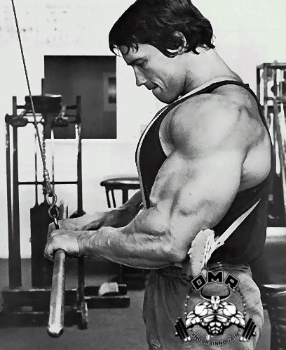 OMR TEAM: Treino de Bíceps e Tríceps de Arnold Schwarzenegger