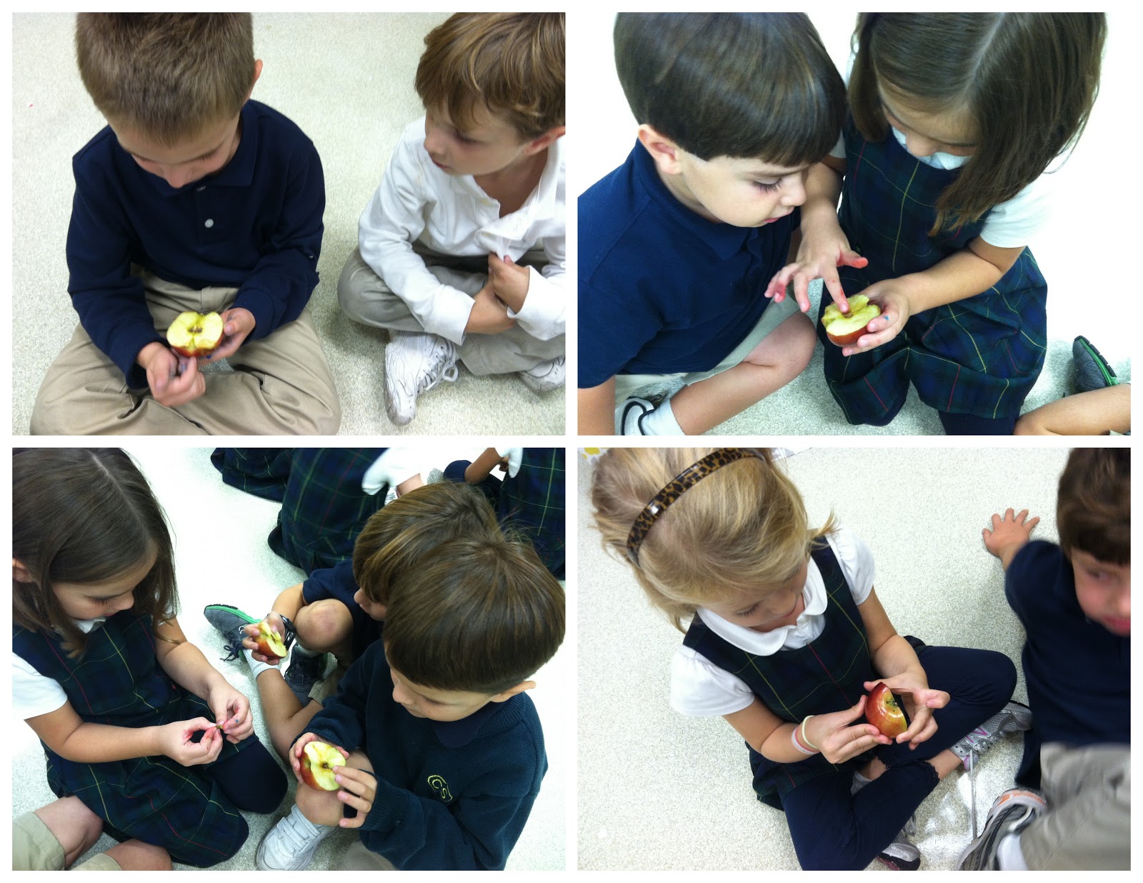 Ms. Clark: Learning The Parts Of an Apple: A Kinesthetic Approach