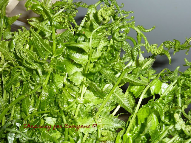 Chopsuey for Everyone: Pako Fern Salad