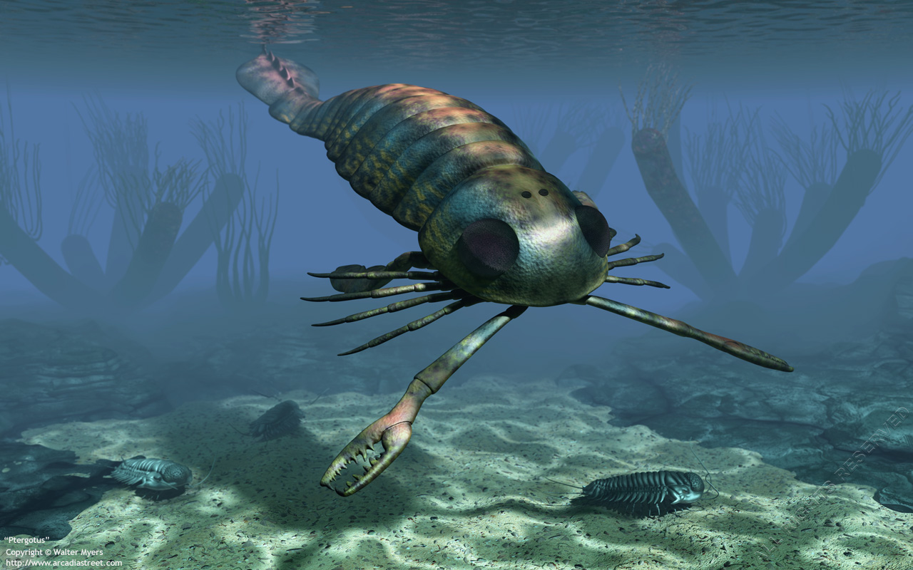 Paleontología en Colombia: Peces devónicos de Colombia, diversidad en ...