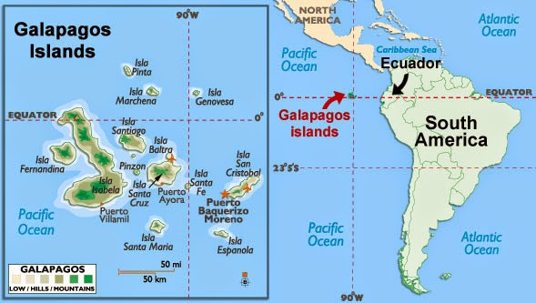 Larga lengua de lagartija: Tortugas de Tierra en las Islas Galápagos