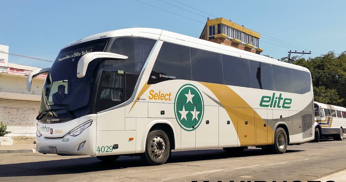 MAXIBUSES: ELITE SELECT