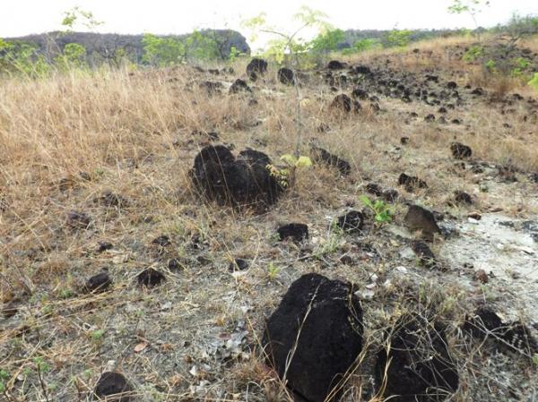 GEMAS DO BRASIL: Kimberlitos, Lamproítos e os Diamantes