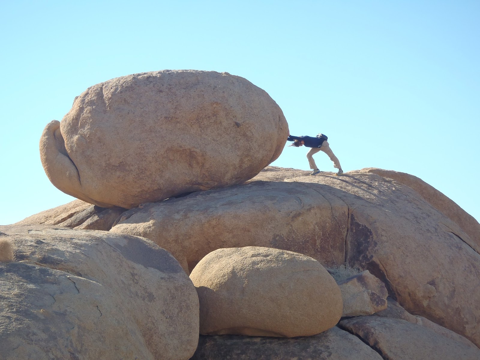 Joshua Tree National Park - Things to Do | Trails of Arkansas (& now ...