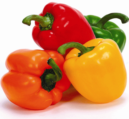 Farm & Fork Society: Peppers 101