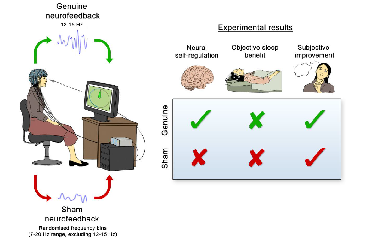 The Neurocritic: Neurofeedback Training For Insomnia No Better Than Sham