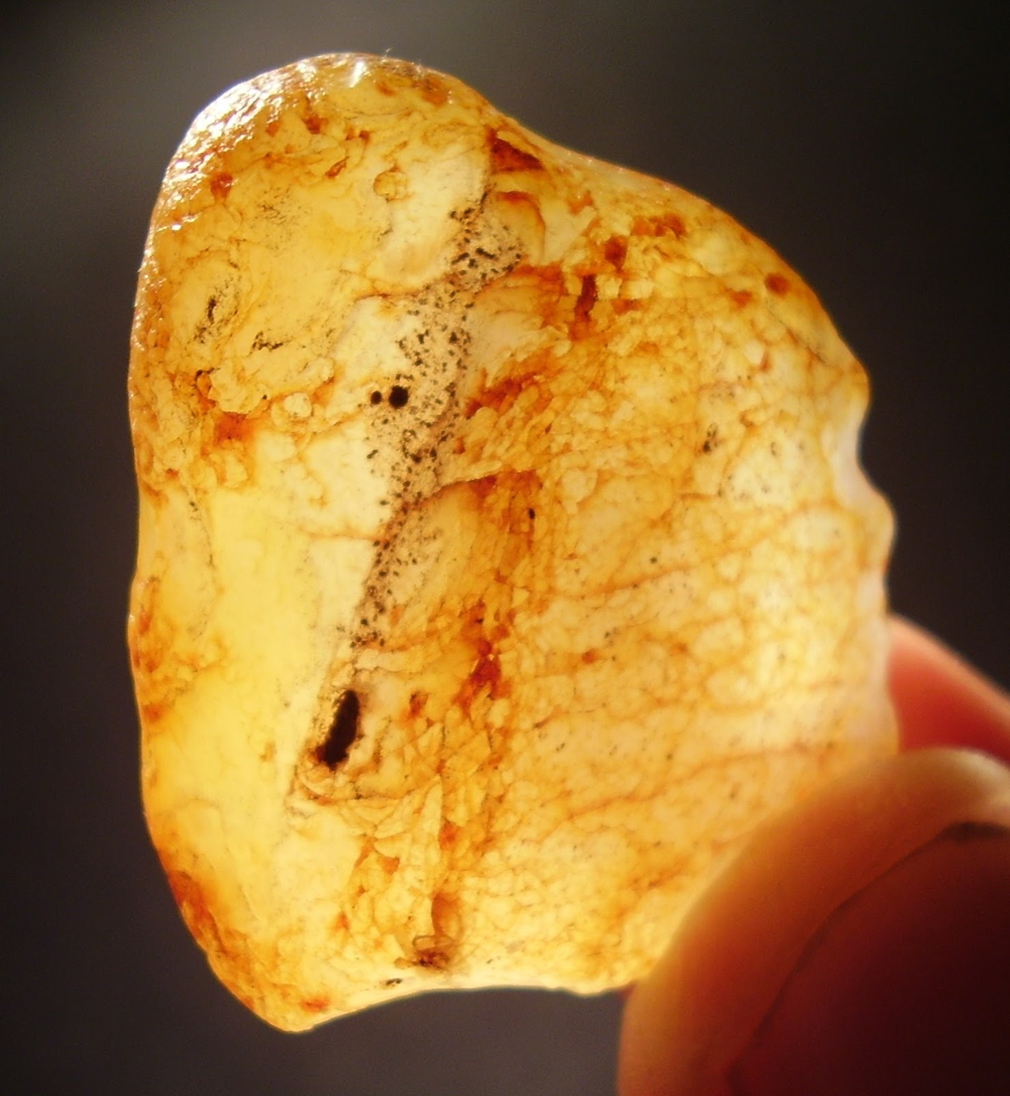 Archaeology of Portable Rock Art: Oregon translucent pebble has been ...