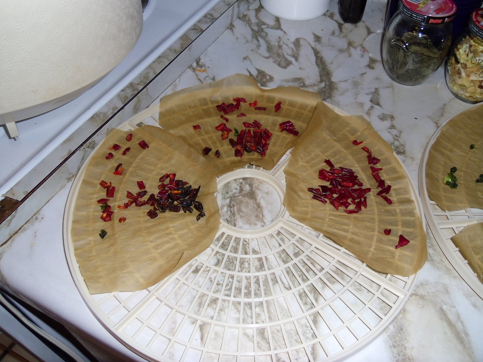 Dehydrating The Bounty - Living Life in Rural Iowa