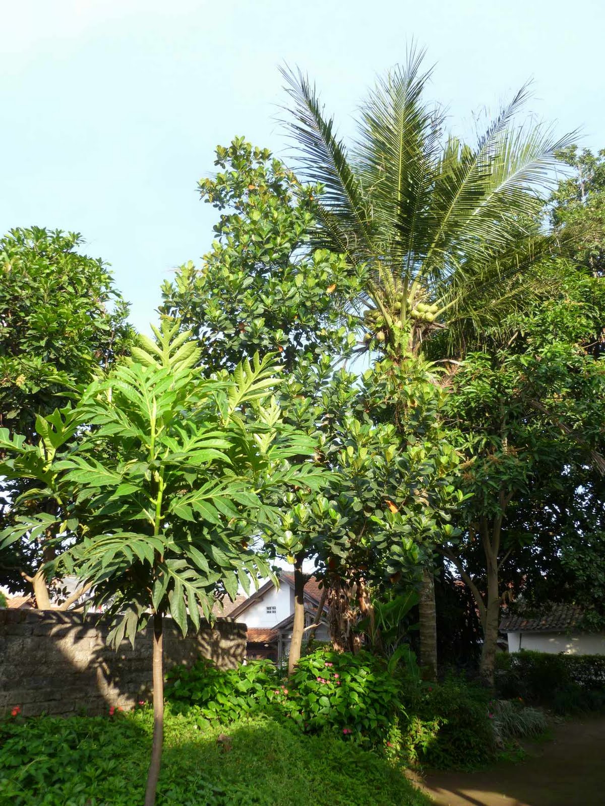 Luledele dans tous les sens