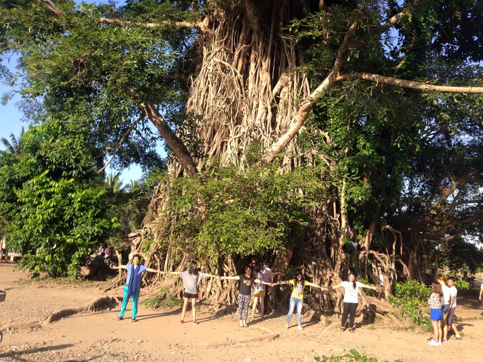 Turistang Pinay: Millenium Tree of Aurora - Largest Balete Tree in Asia