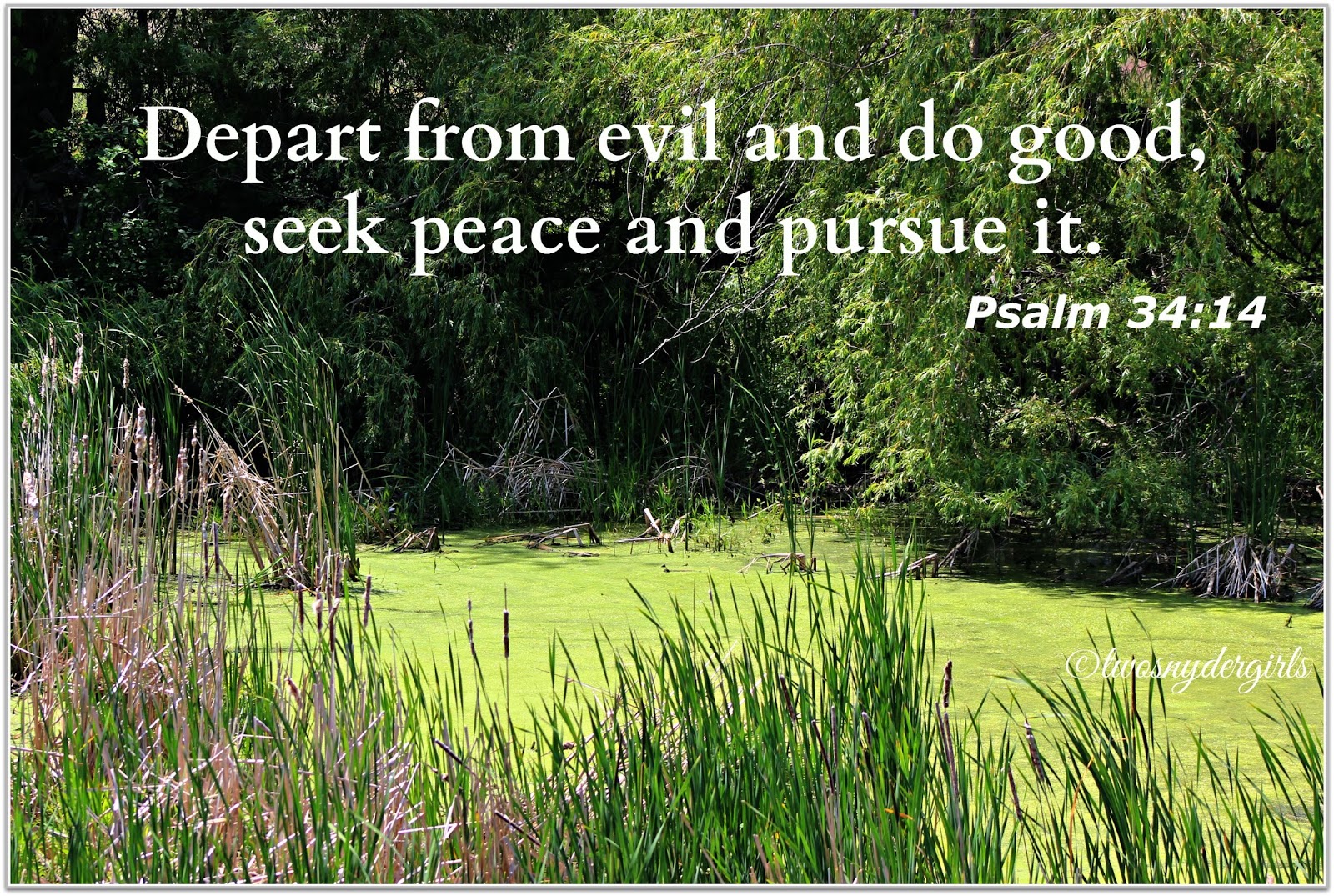 Our Retirement Days: Seek, Peace and Pursue It