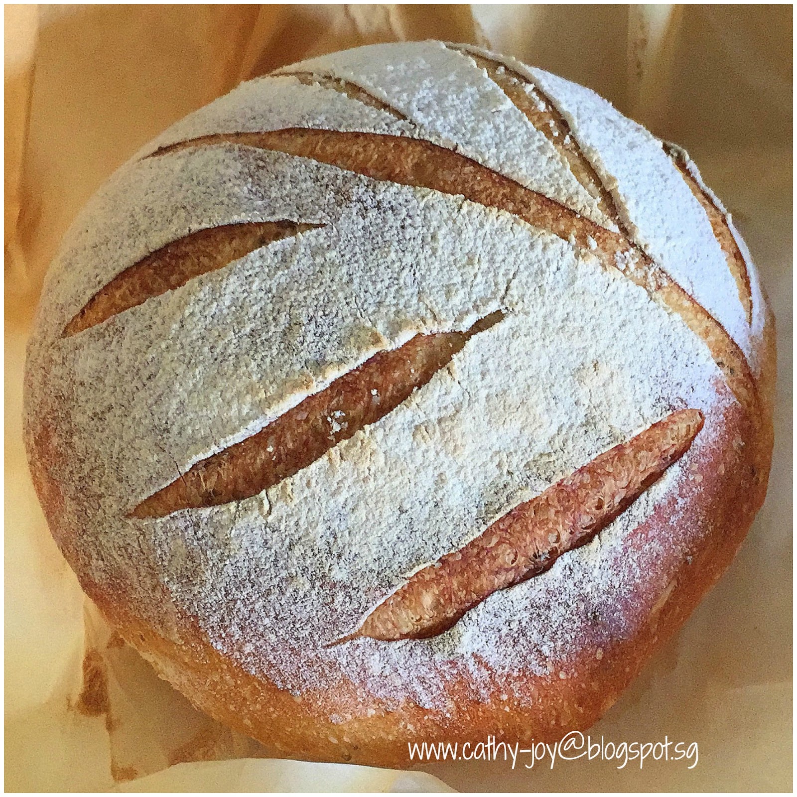 cathy's joy: 16hrs Pre-fermented Sponge Dough