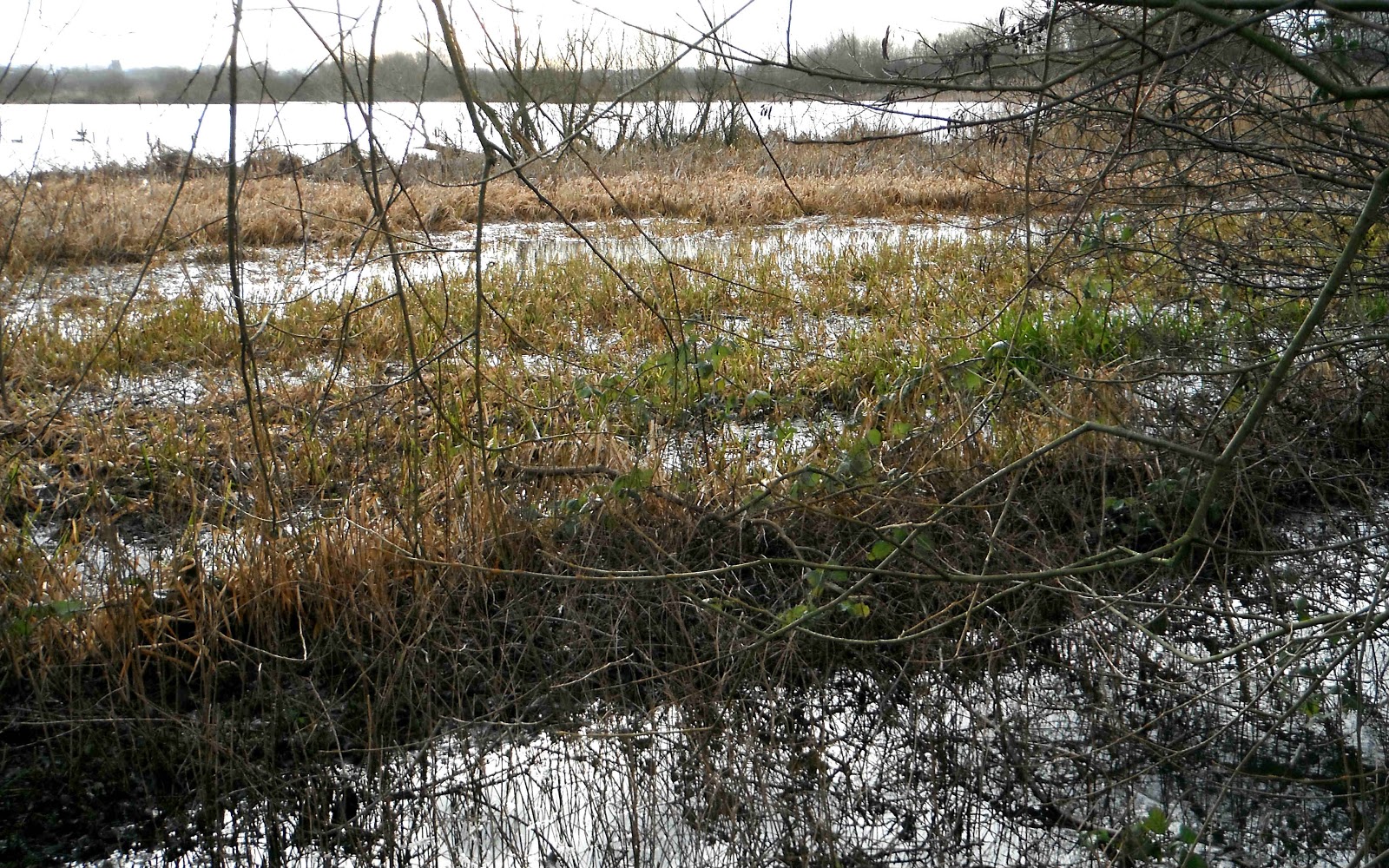 Staffordshire Photo: 2014