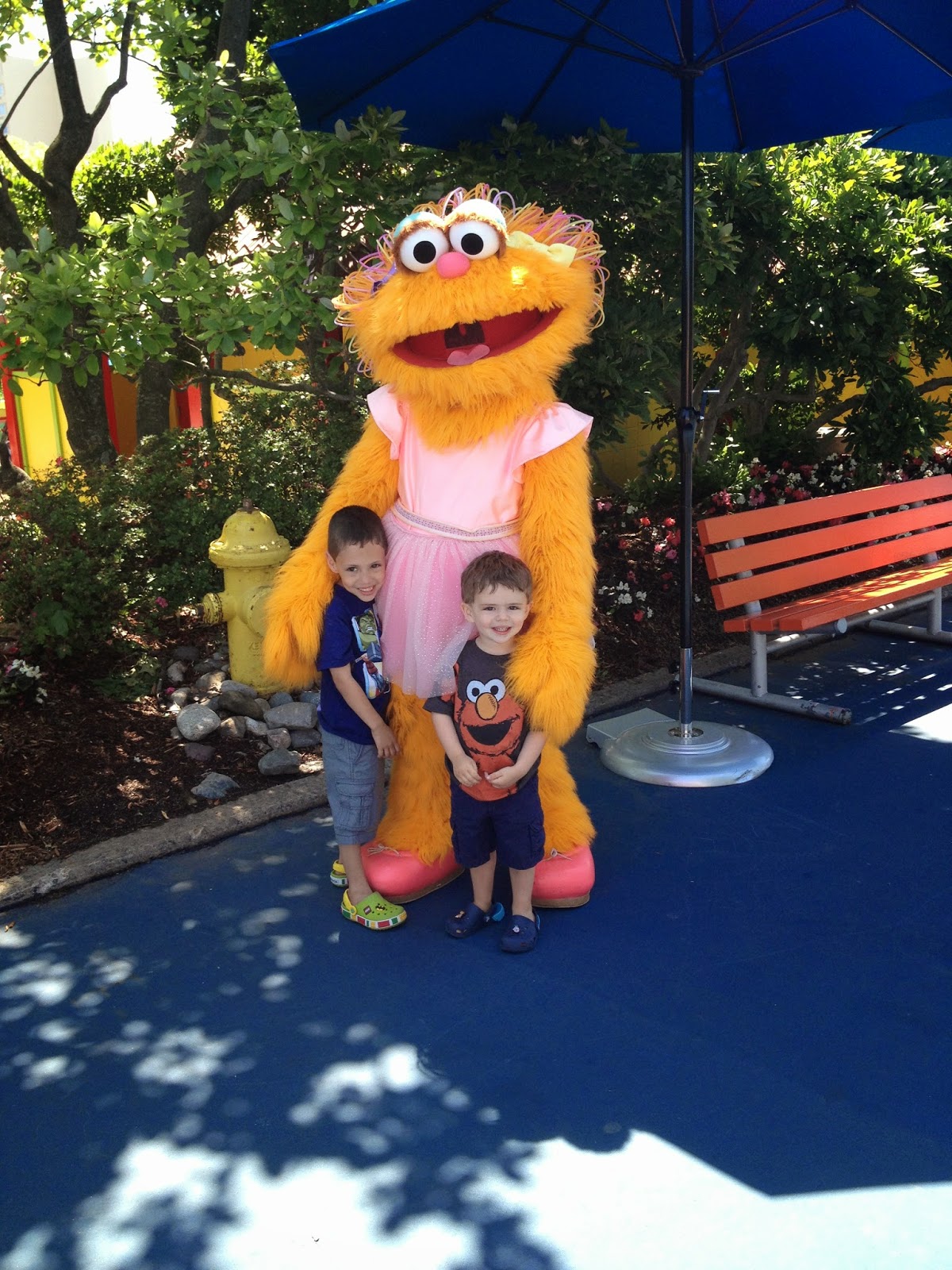 The Newman Family: Sesame Place