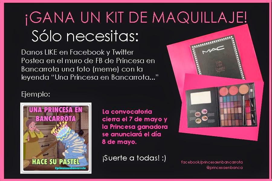 ¿Cómo hago un meme? | Princesa en Bancarrota