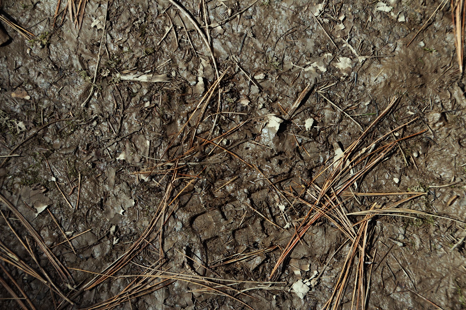 Ryan Perry ART 290: Thunderstorm Textures