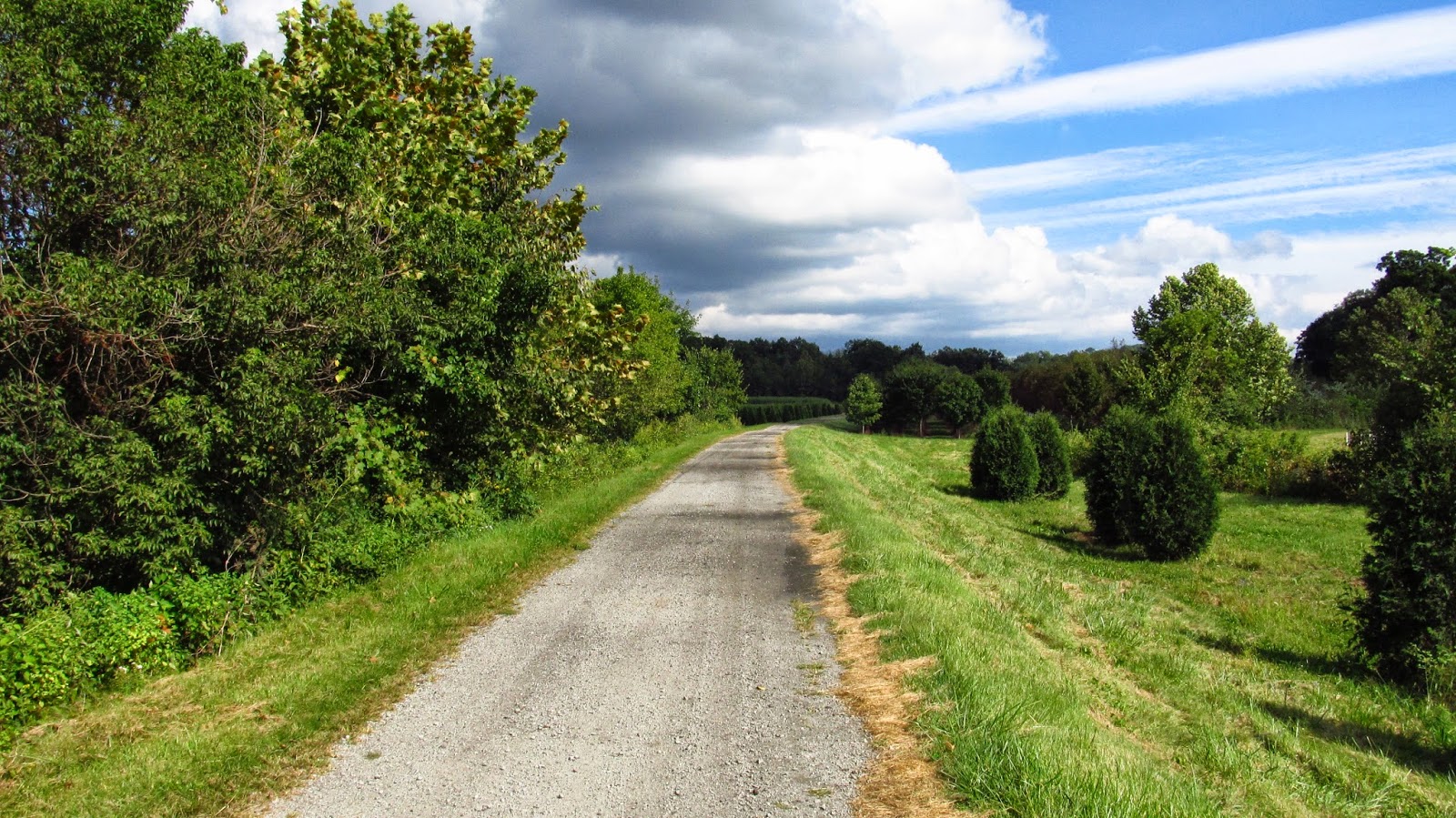 Old Industry of Southwestern Pennsylvania : Sewickley Branch Of The ...