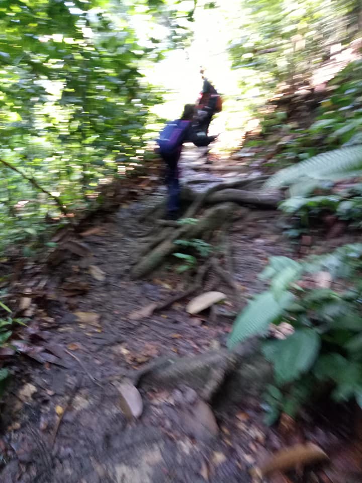 ! Selagi Nadi Ku Berdenyut !: Hiking / Jungle Tracking Di FRIM Kepong