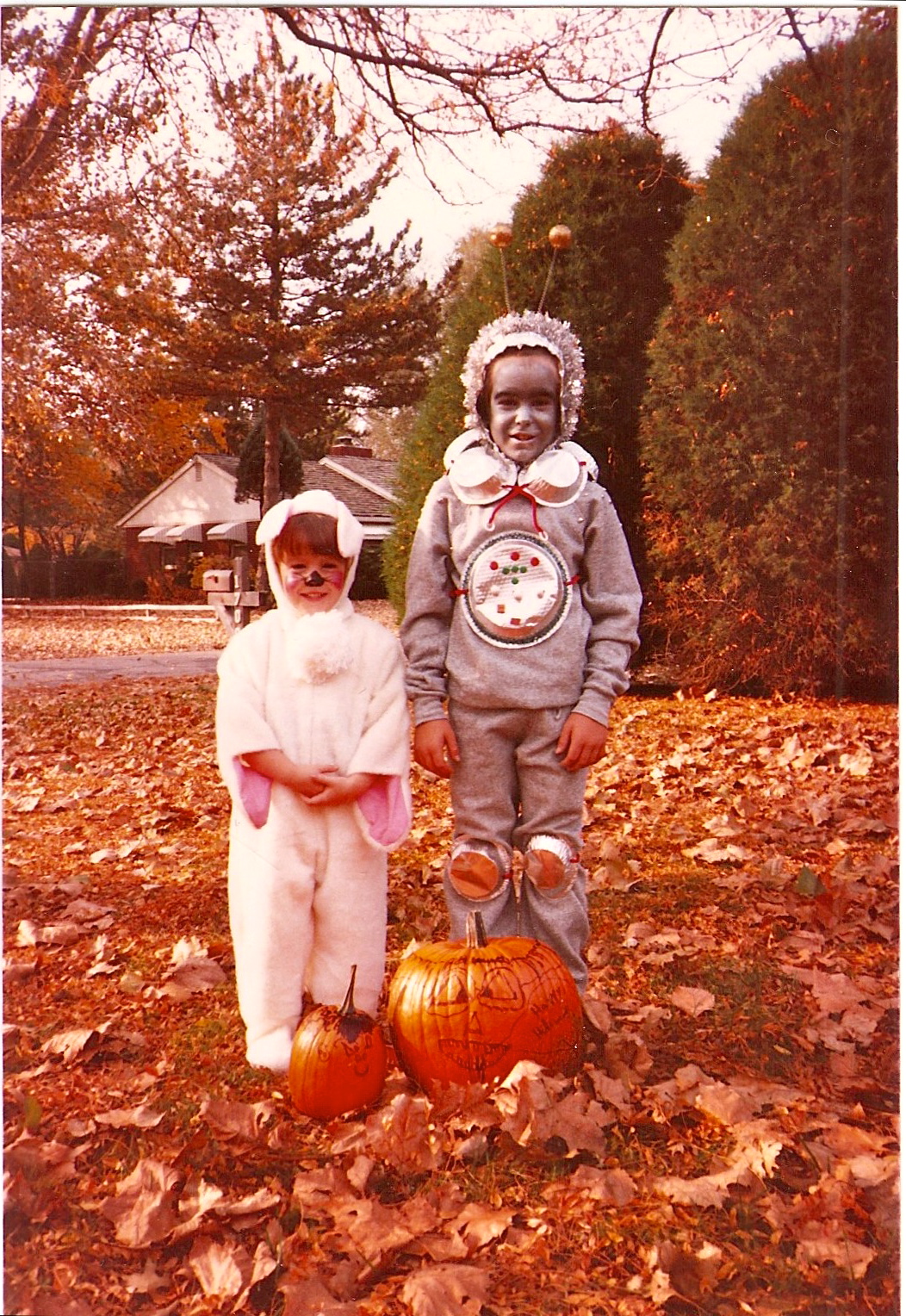 Face to Face: '80s flashback: Unraked lawns setting the mood for autumn ...