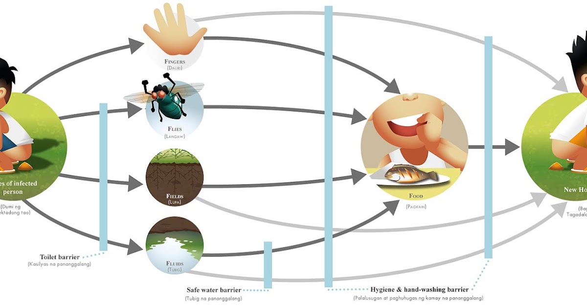 WC: FECAL-ORAL ROUTE