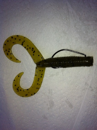 TOCA DO BASS: Gonzo Grub no Texas e Carolina Rig