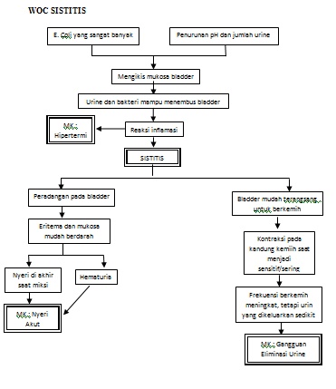 Febyana Dwi: ASKEP HYPOSPADIA / EPISPADIA