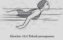 olahraga: teknik berenang