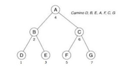 Programacion Basica : Arboles Binarios
