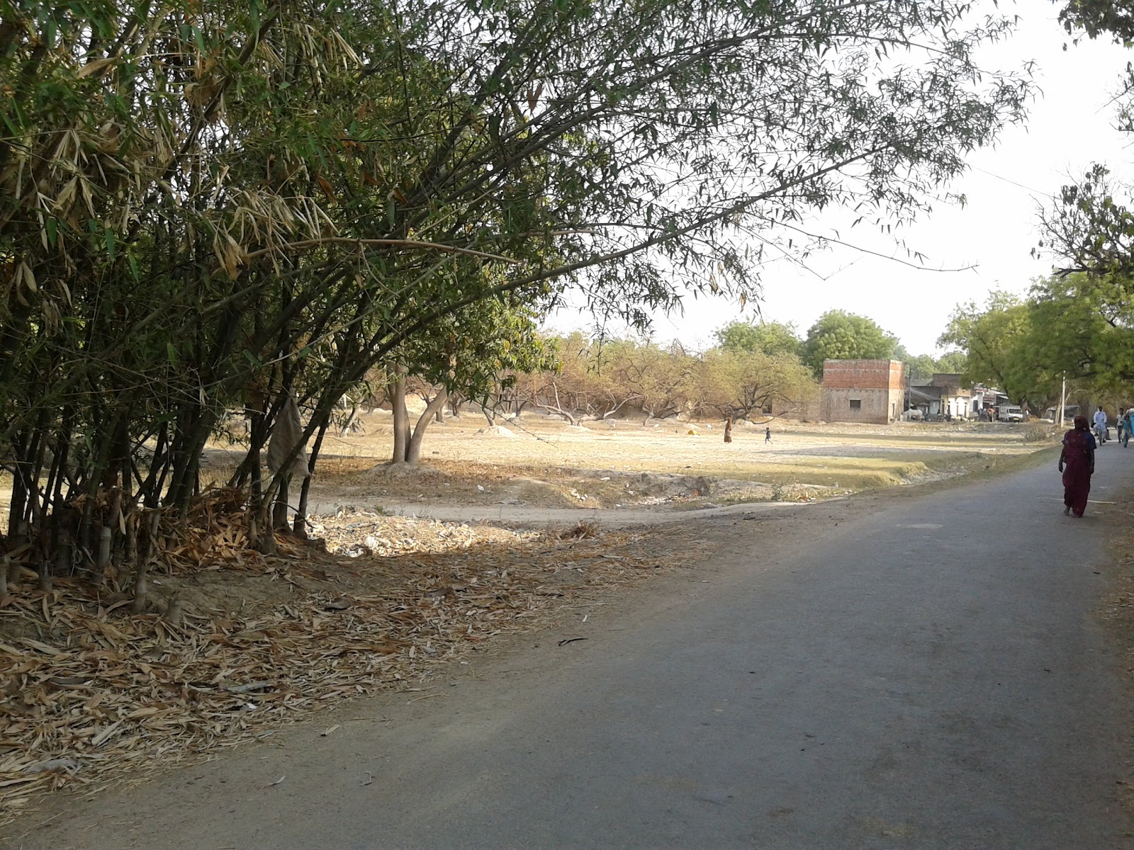 Wirasat - Pargana Chail- Allahabad: BadaGaon - Pargana Chail ( Baragaon)