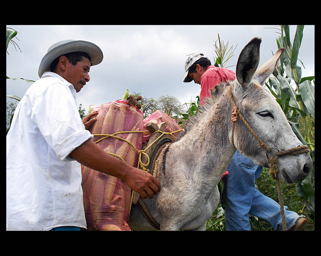 Textos y fotos: CHUCHO