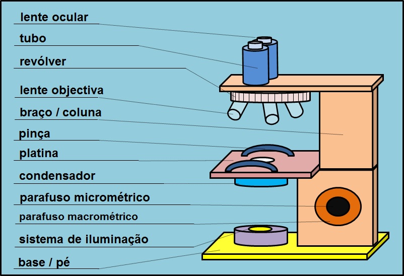 Microscopy-Pictures: November 2015