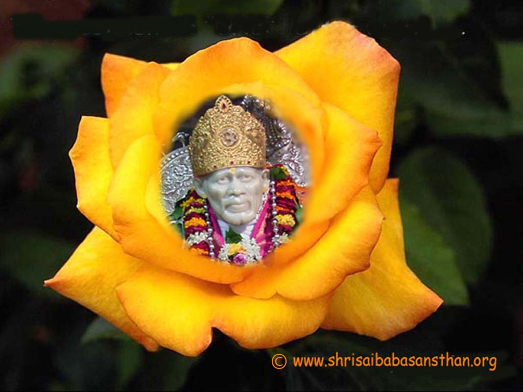 It is my special characteristic to free any person who surrenders ...