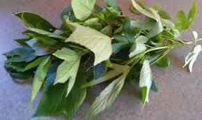 NatureFitness: Vegetables - Gogu Leaves - Varieties