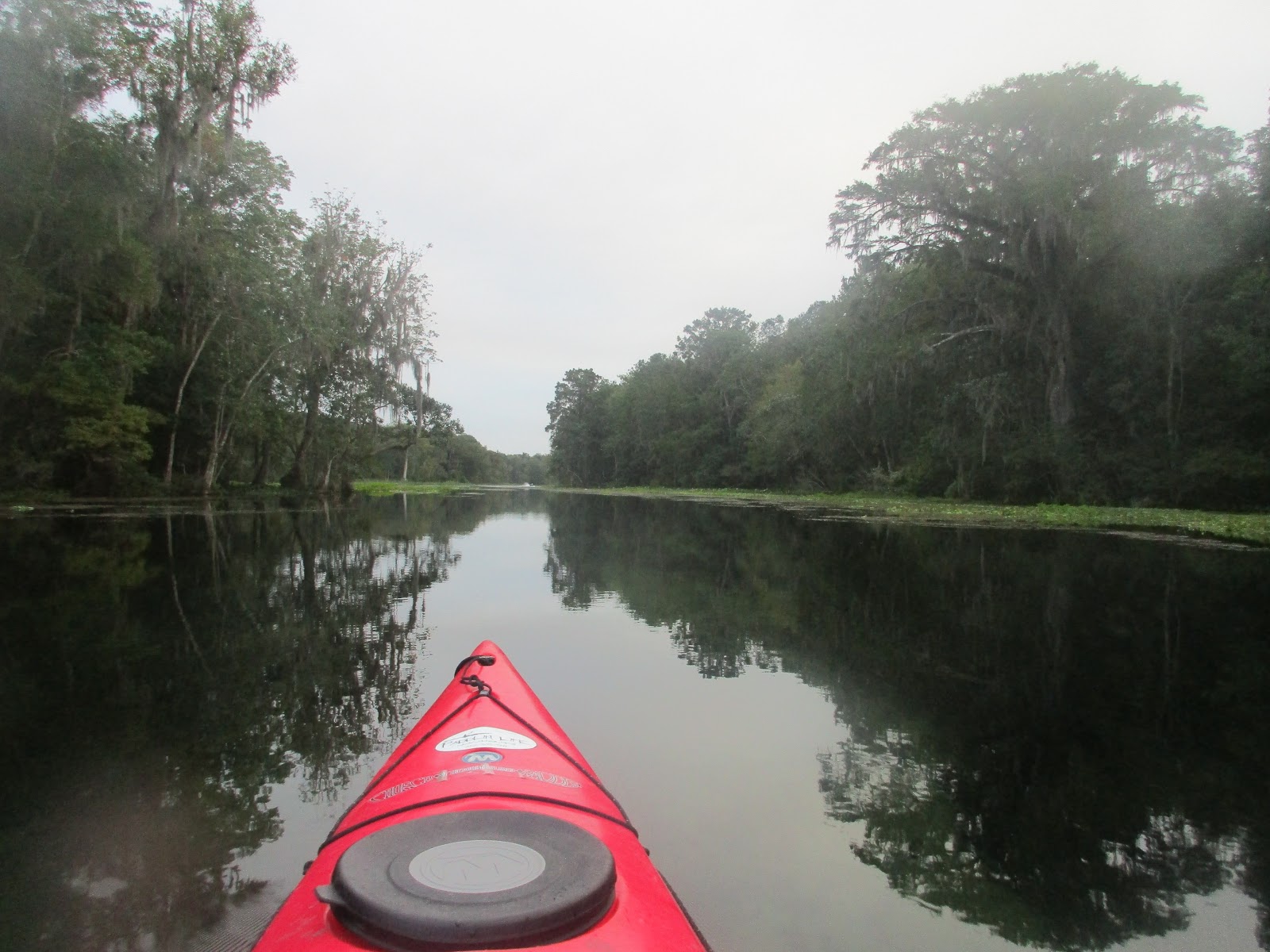 Dave's Yak Tales: Wacissa River