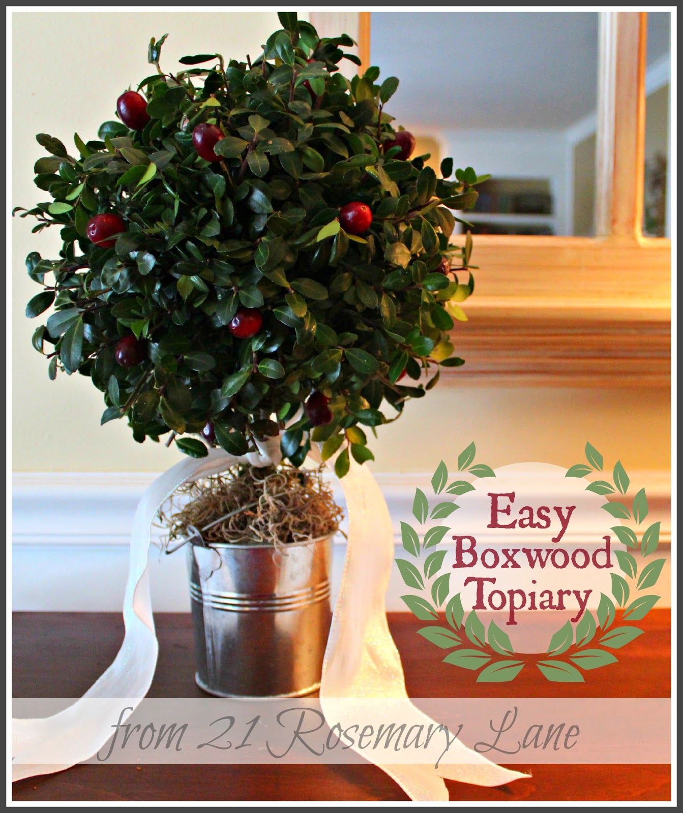 21 Rosemary Lane: Another Festive Topiary