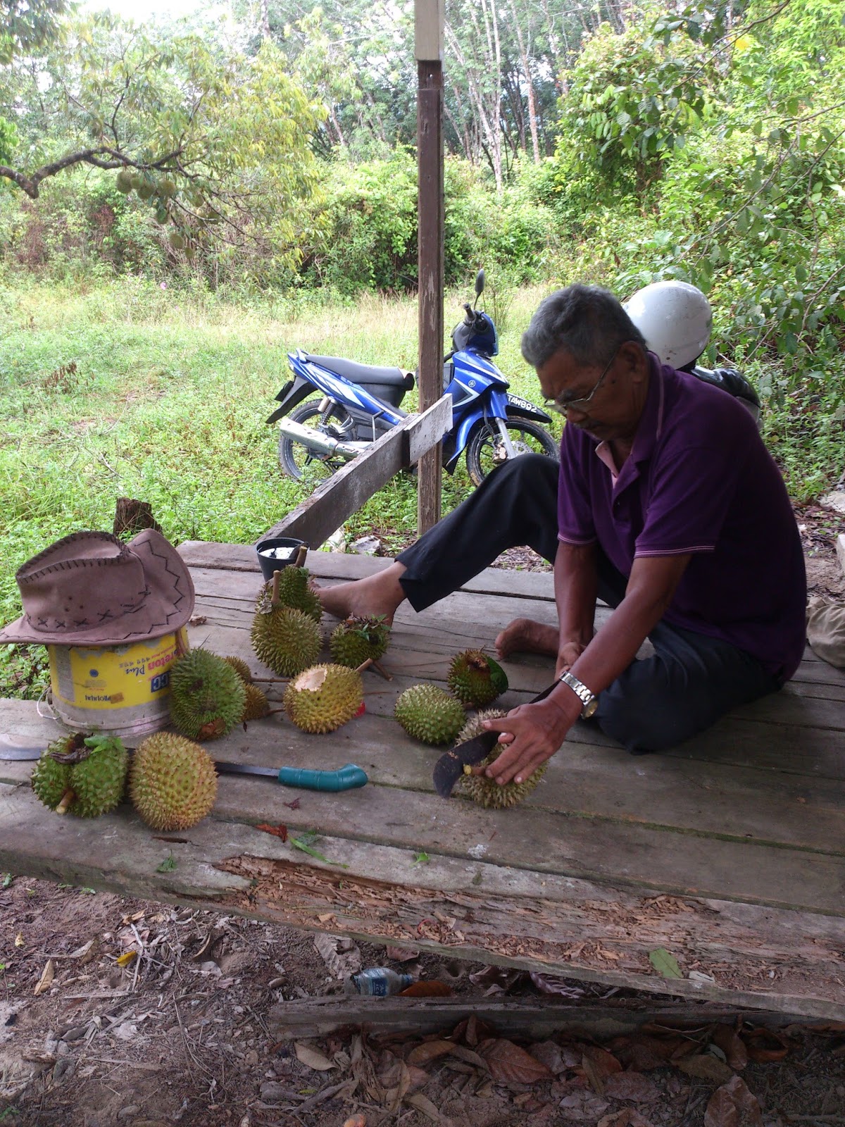ini cerita aku: Kebun Durian Atok